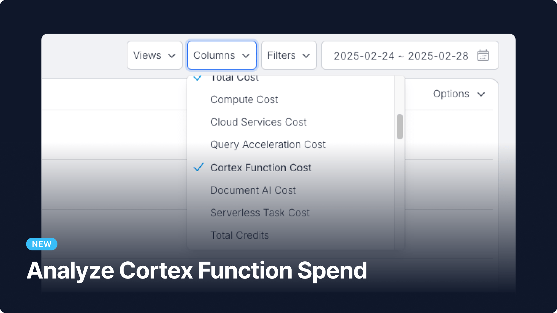 Analyze Cortex Function Spend | Changelog